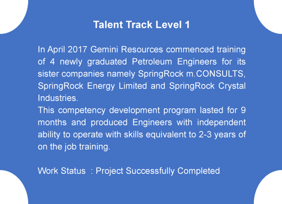 Talent-track - SpringRock Group